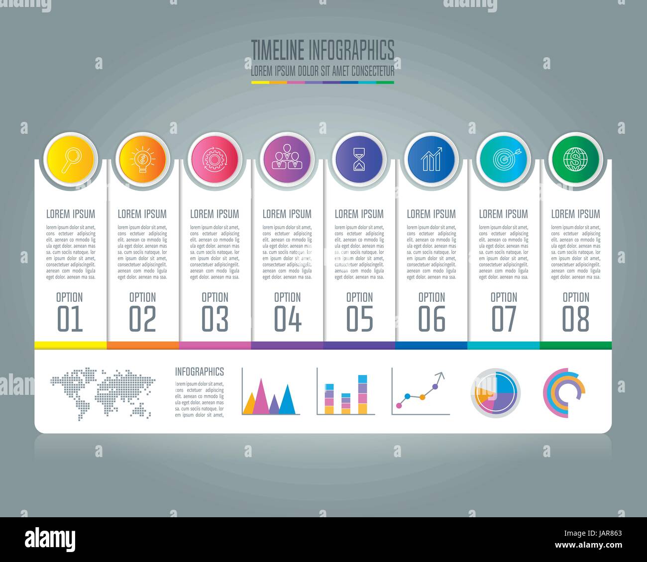 Timeline Infographic Template Vector