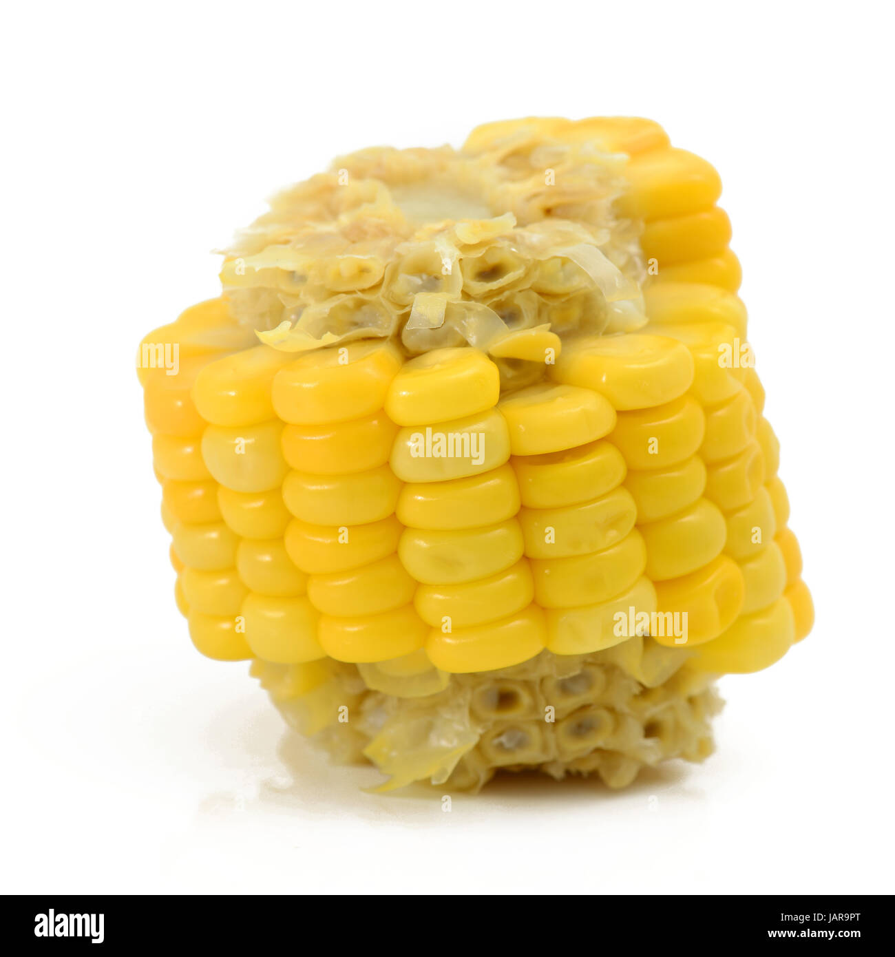 Eating Corn Isolated on White Stock Photo - Alamy