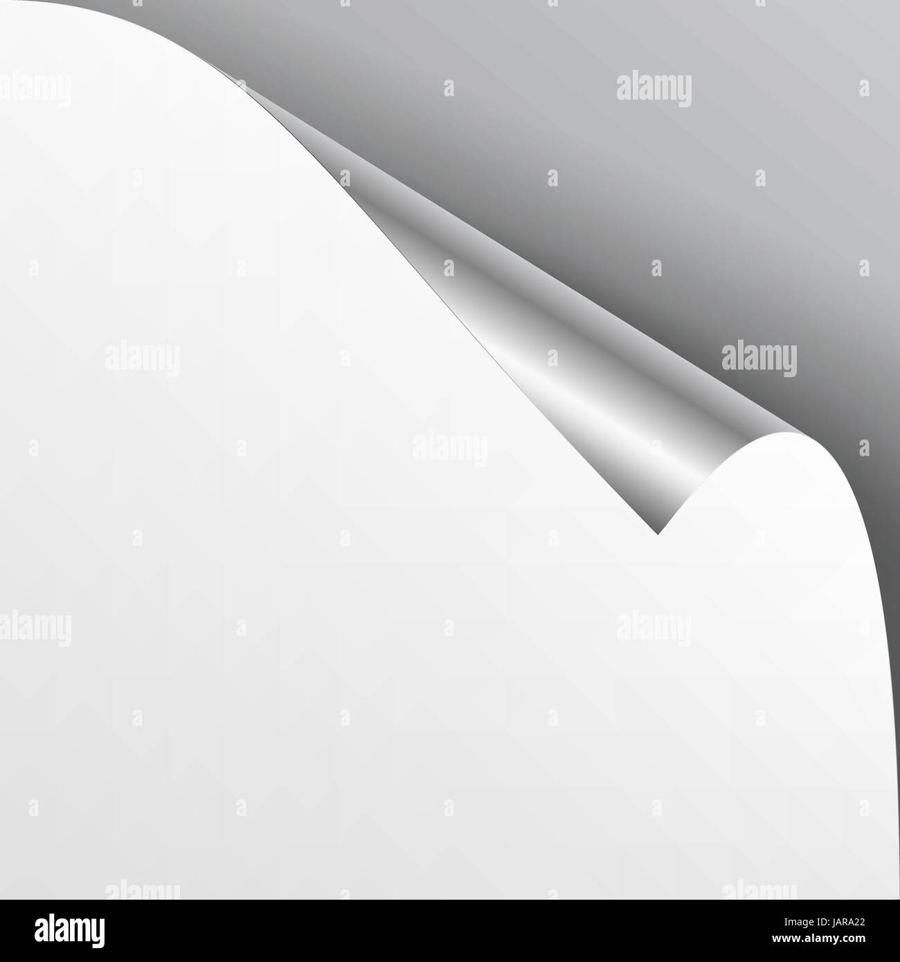 Curled Silver Metalic Corner Realistic Vector Illustration Stock Vector ...