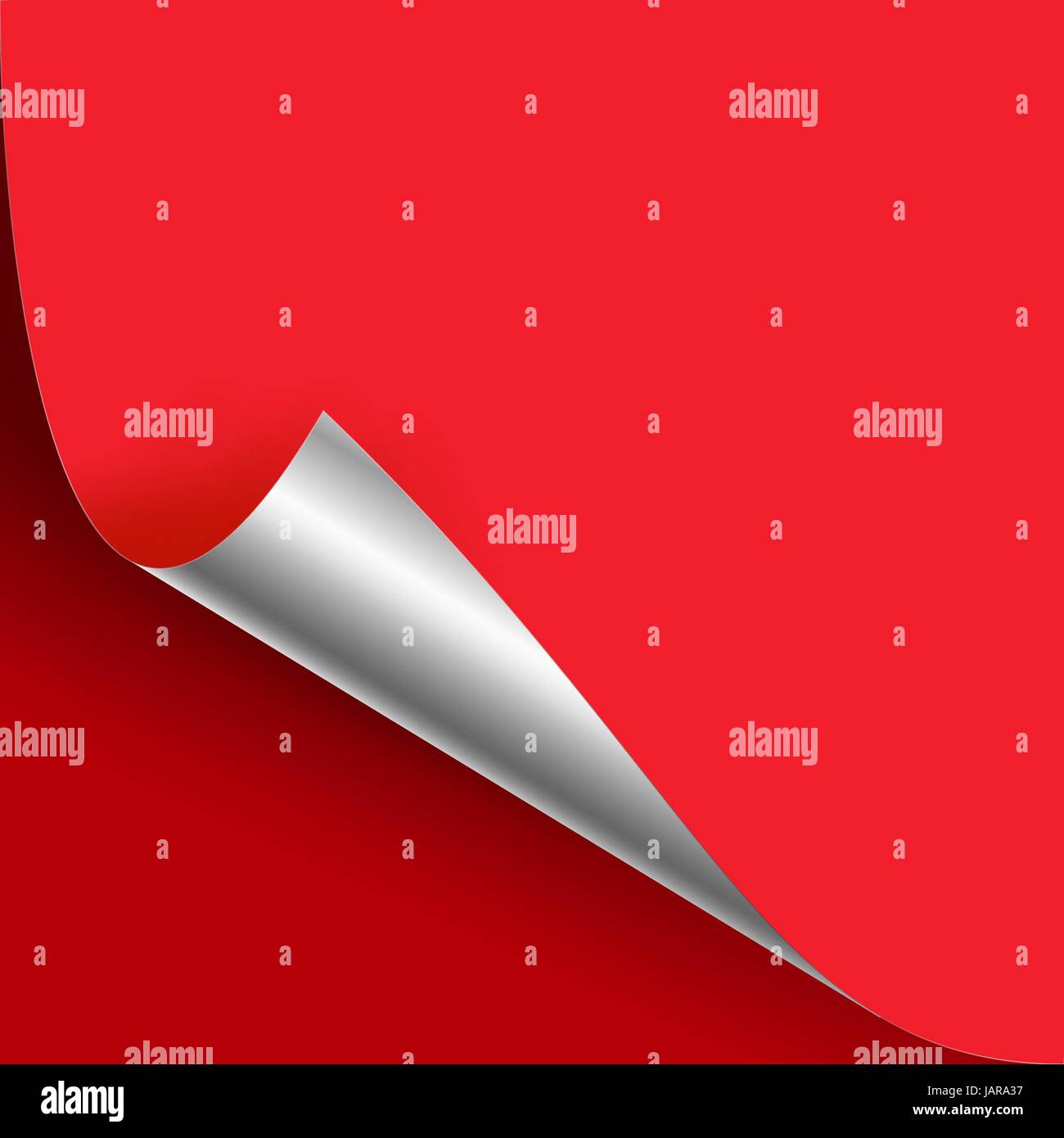 Curled Silver Metalic Corner Realistic Vector Illustration Stock Vector ...