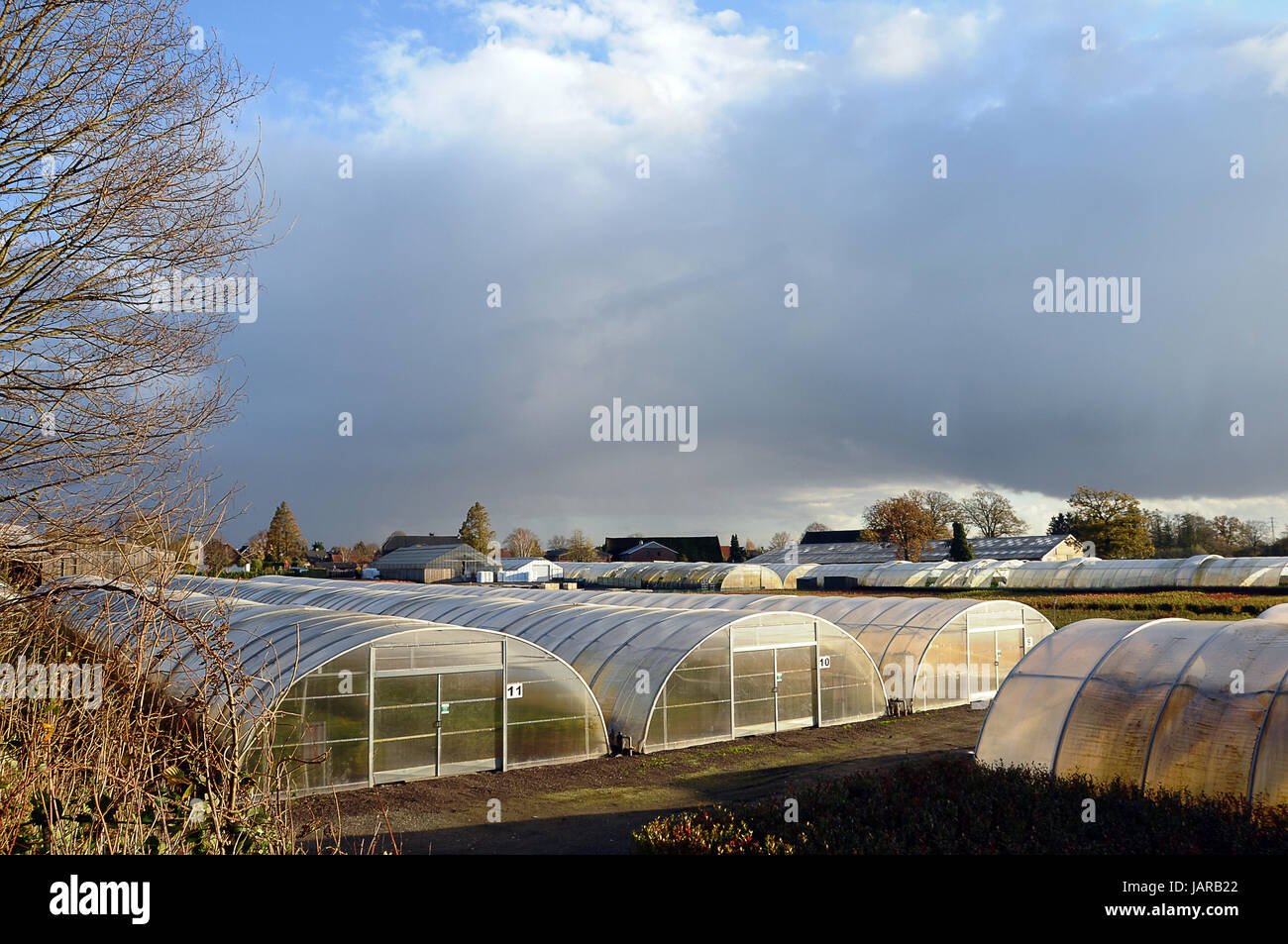 Treibhauser hi-res stock photography and images - Alamy