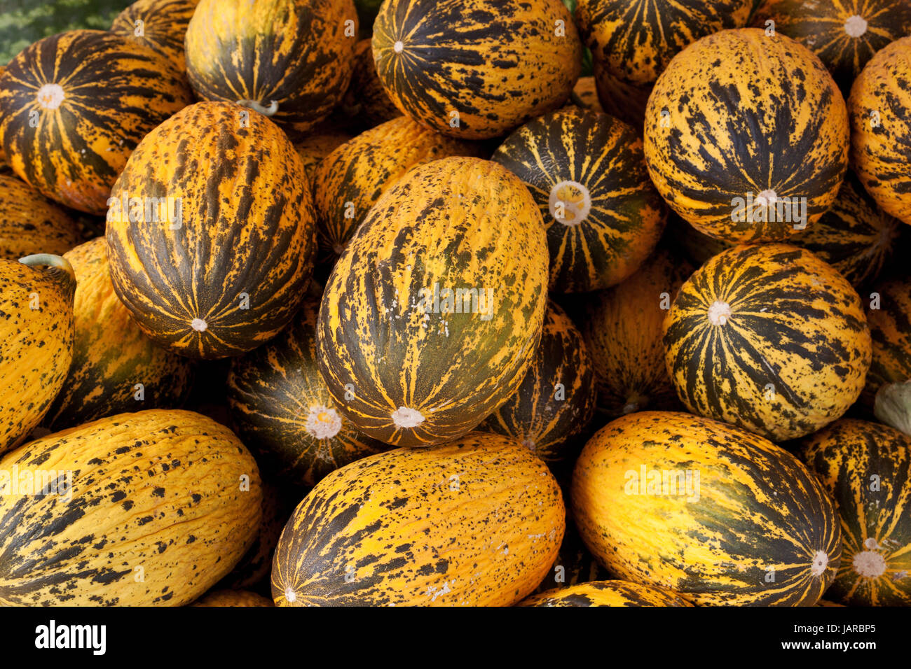Turkische melonen hi-res stock photography and images - Alamy