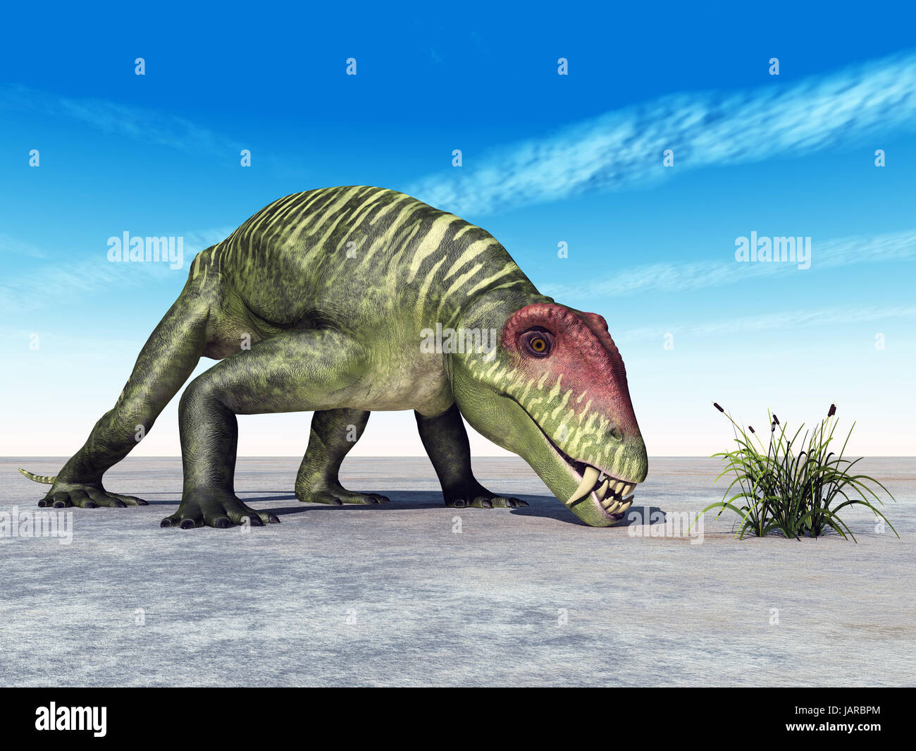 Doliosauriscus hi-res stock photography and images - Alamy