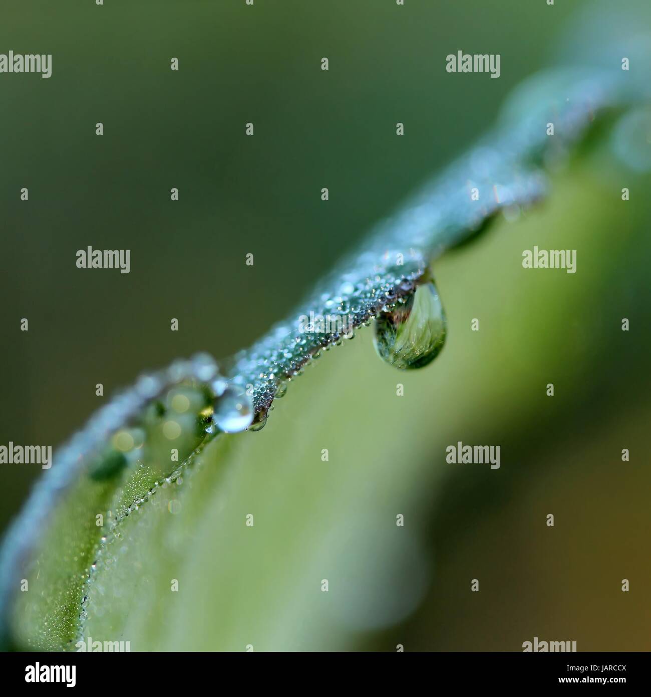 The sheet of water hi-res stock photography and images - Alamy
