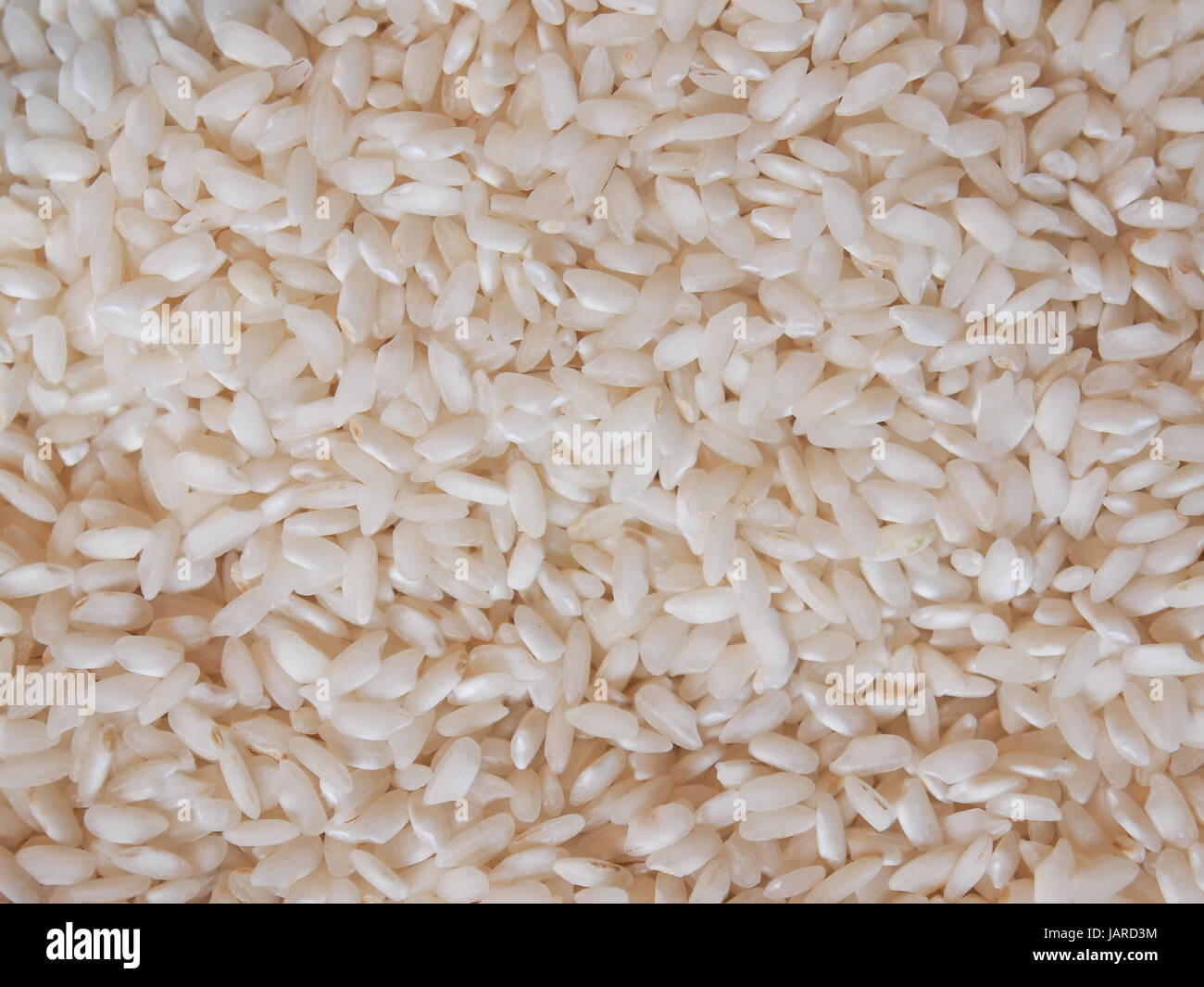 Rice food a traditional Indian cuisine dish Stock Photo - Alamy