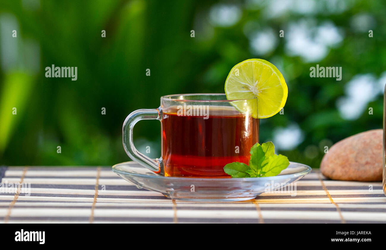 Indian mint plant hi-res stock photography and images - Alamy