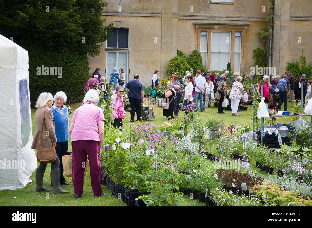 Plant hunters visiting the Rowdeford School annual charity plant fair ...