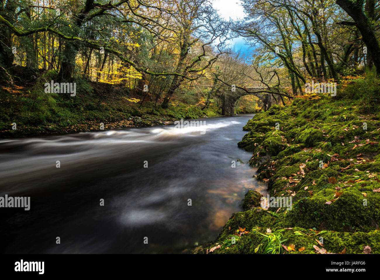 The River Dart at Holne Bridge on Dartmoor Stock Photo - Alamy