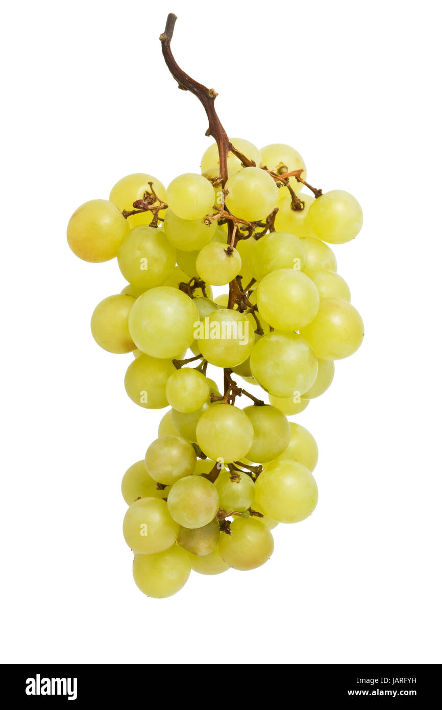 Branch of grapes isolated on white background Stock Photo - Alamy