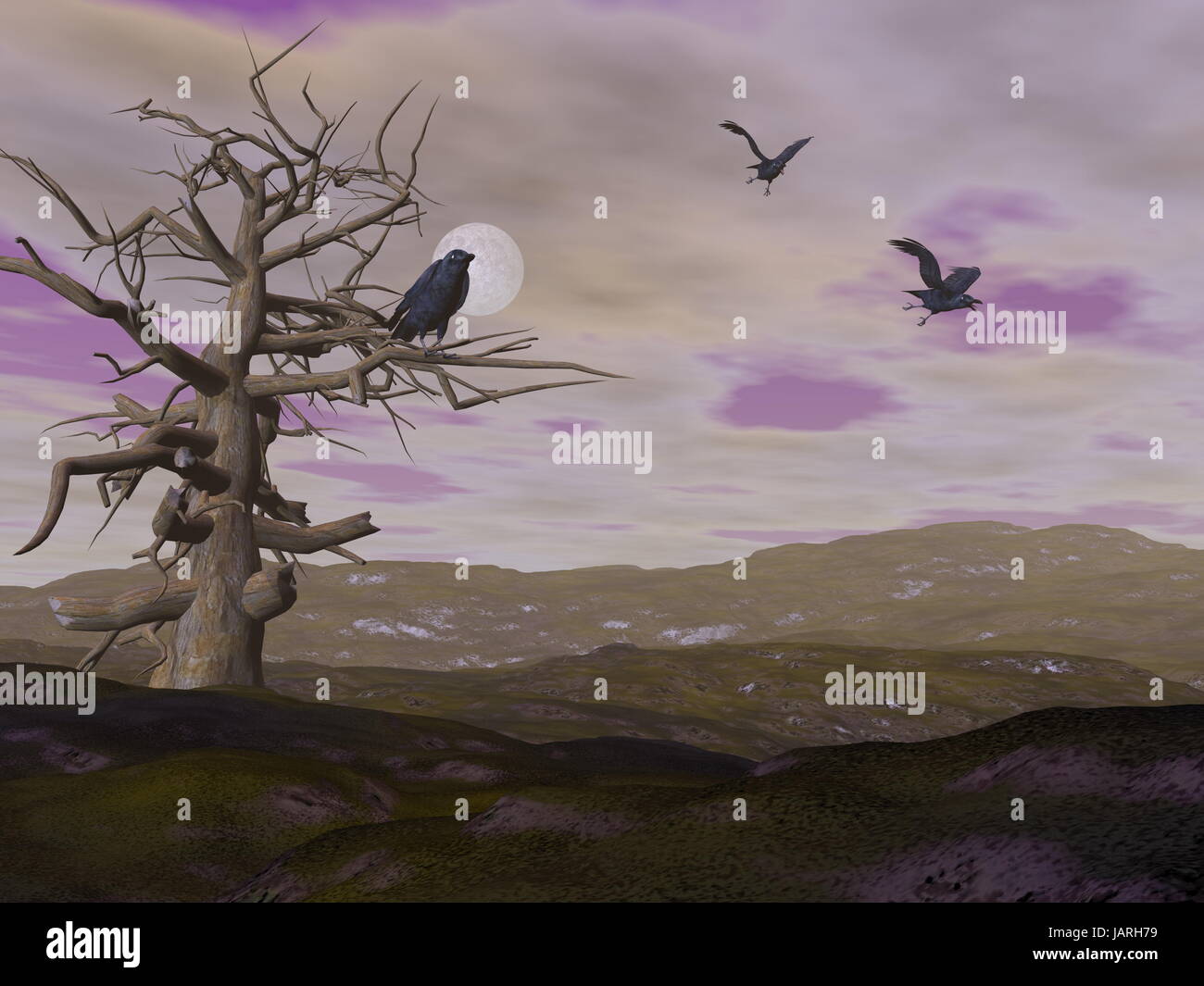 Raven full moon hi-res stock photography and images - Alamy