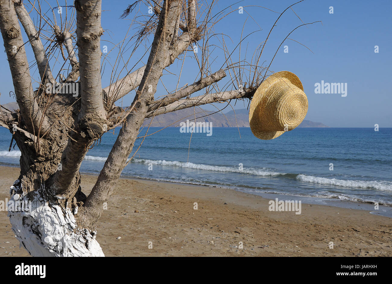 salt water sea Stock Photo - Alamy