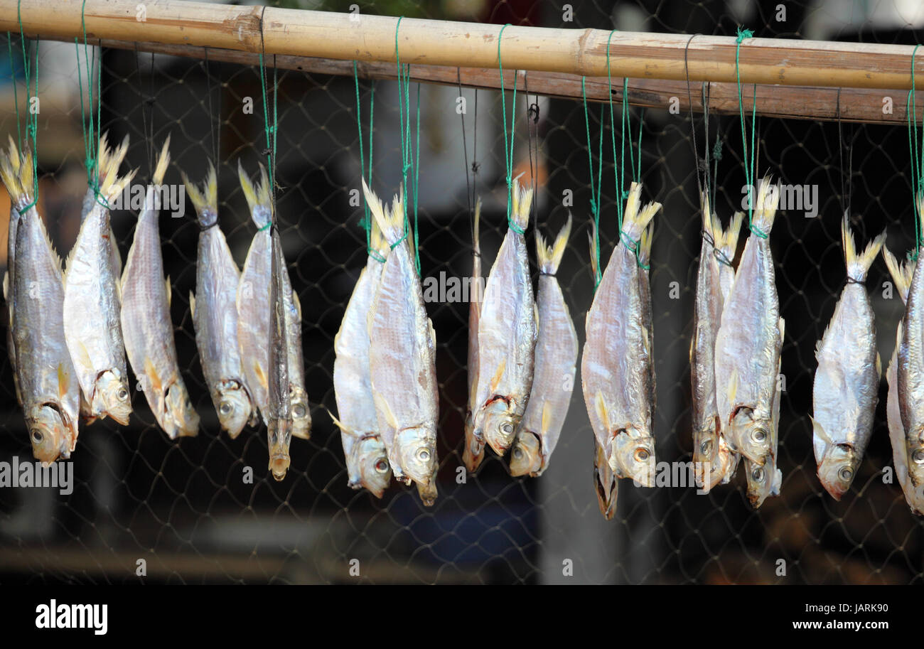 Dried cod in Tai O fishing village. Lantau Island, Hong Kong, China ...