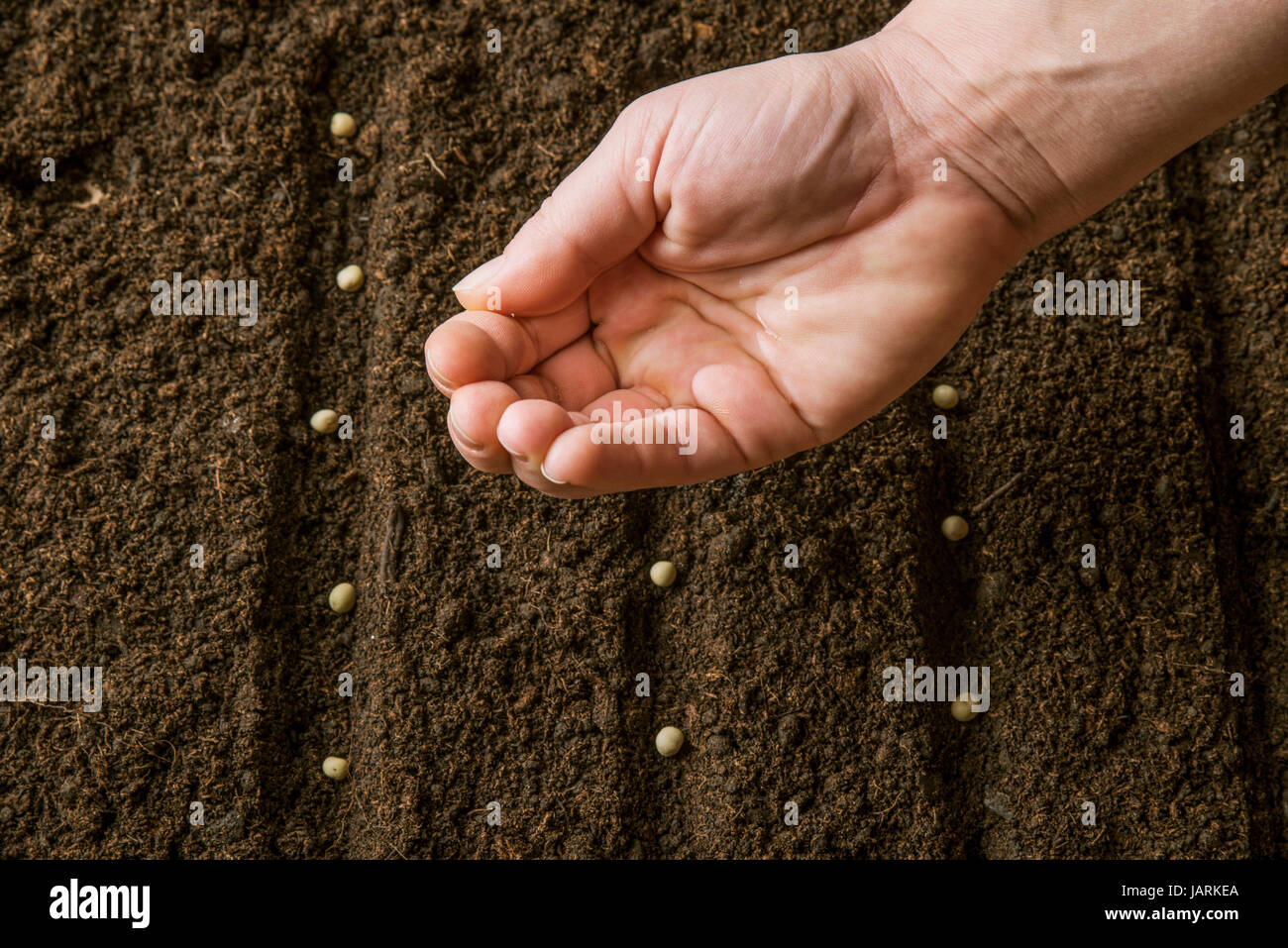 Watering seeds hi-res stock photography and images - Alamy