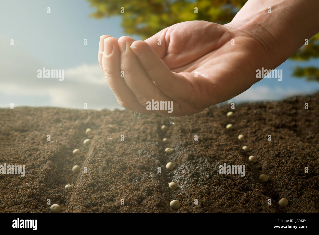 Manual seeding hi-res stock photography and images - Alamy