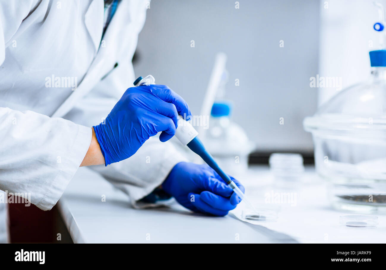 Hands of a researcher carrying out scientific research experiment in a ...