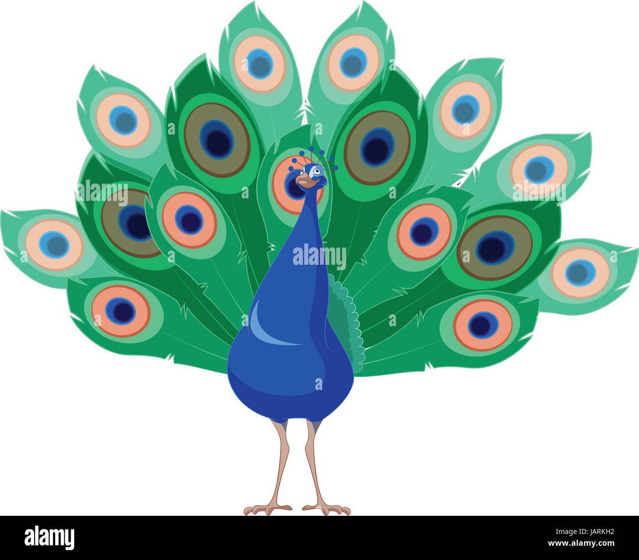 Vector Image Of The Cartoon Smiling Peacock Stock Vector Image And Art Alamy