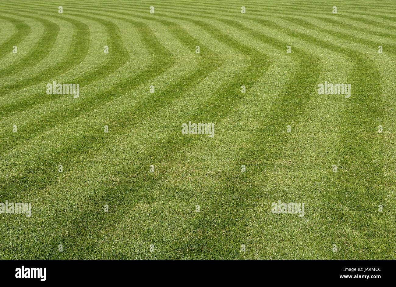 Green grass with a stripped pattern cut Stock Photo - Alamy