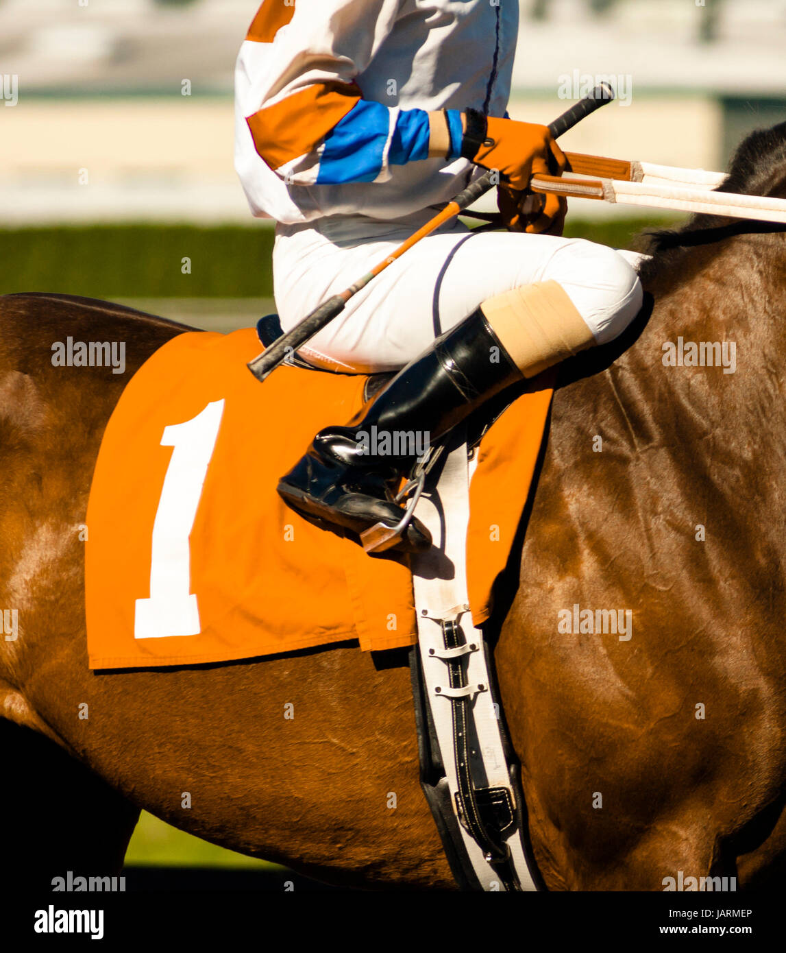 Horseman rides thoroughbred stallion hi-res stock photography and ...