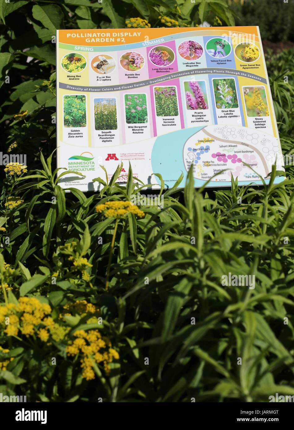 A sign for the pollinator display at the University of Minnesota ...