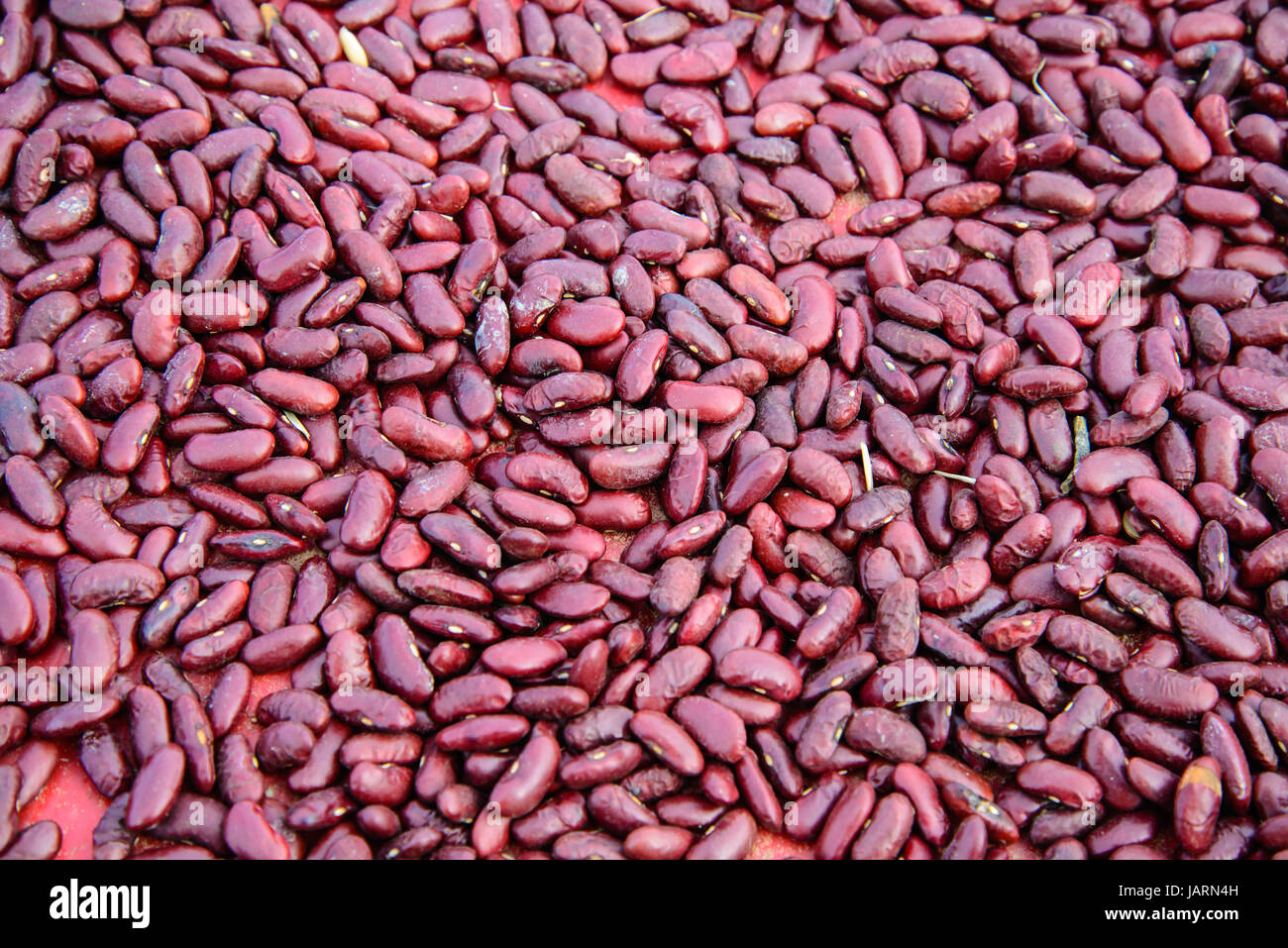 red beans in the garden in Thailand. Background Stock Photo - Alamy