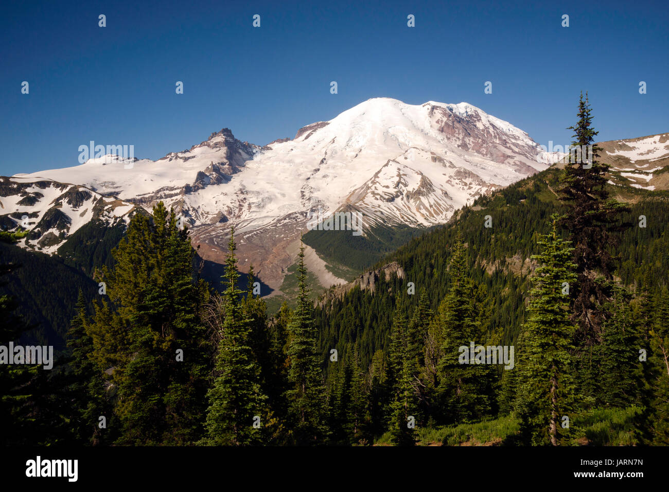 View of Mount Rainier from Burroughs Mountain Cascade Range Stock Photo ...