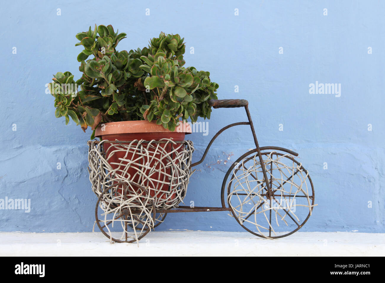decorative flower pot in a miniature bicycle Stock Photo - Alamy