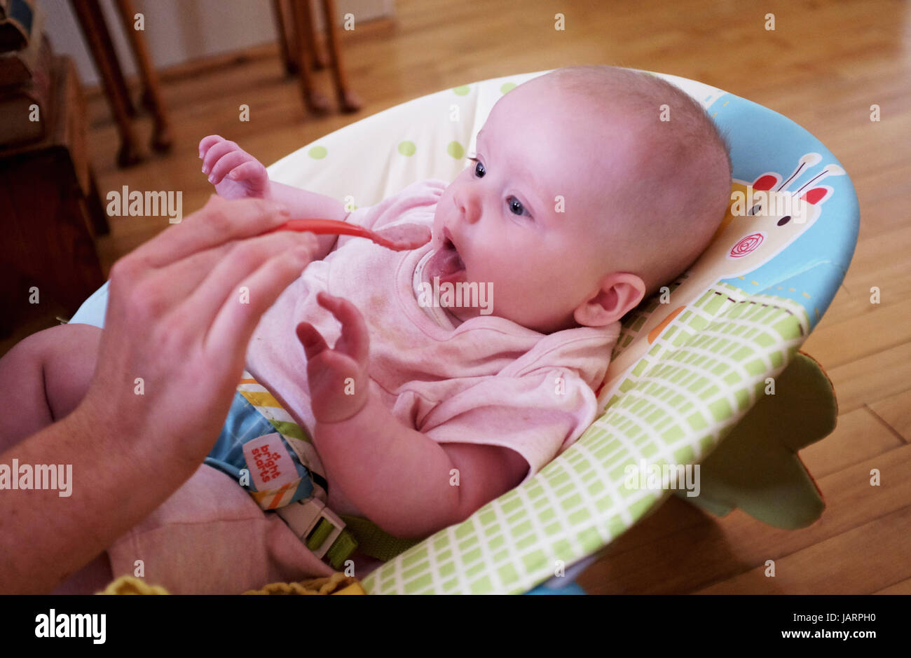 Six month old baby girl female eating solid food from a plastic spoon ...