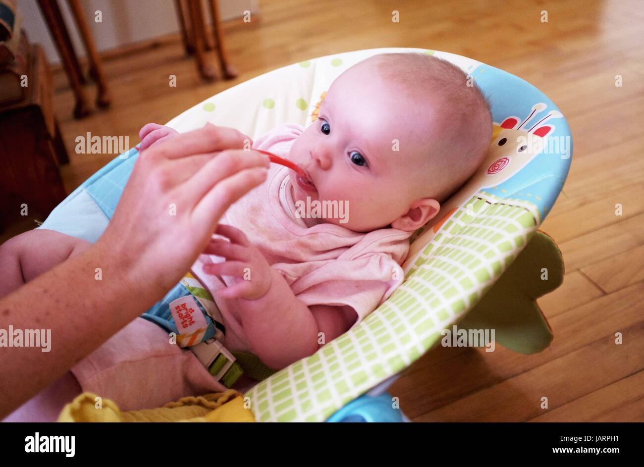 Six month old baby girl female eating solid food from a plastic spoon ...