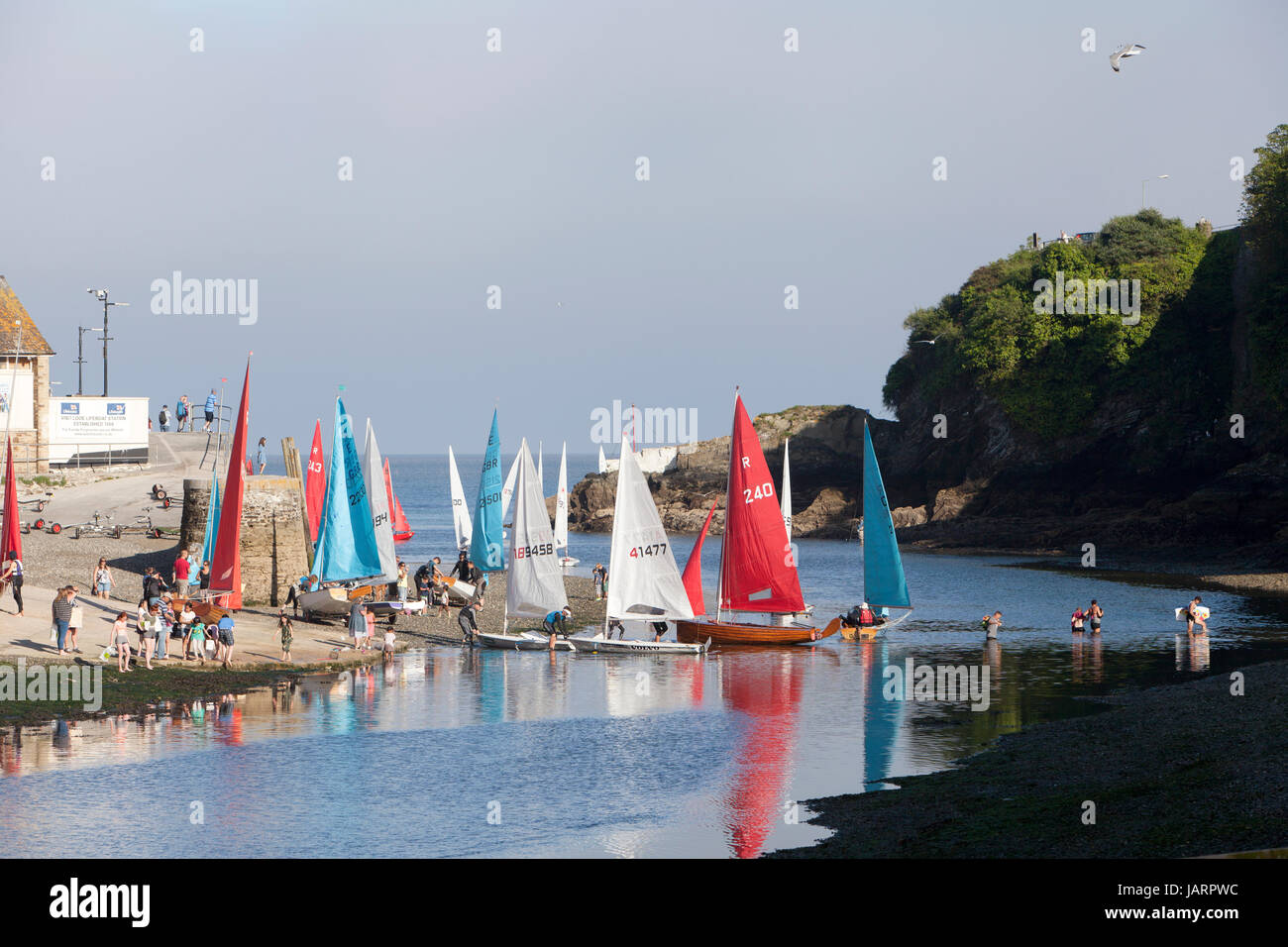 A flotilla of small sailing dinghies with colourful sails launches from ...
