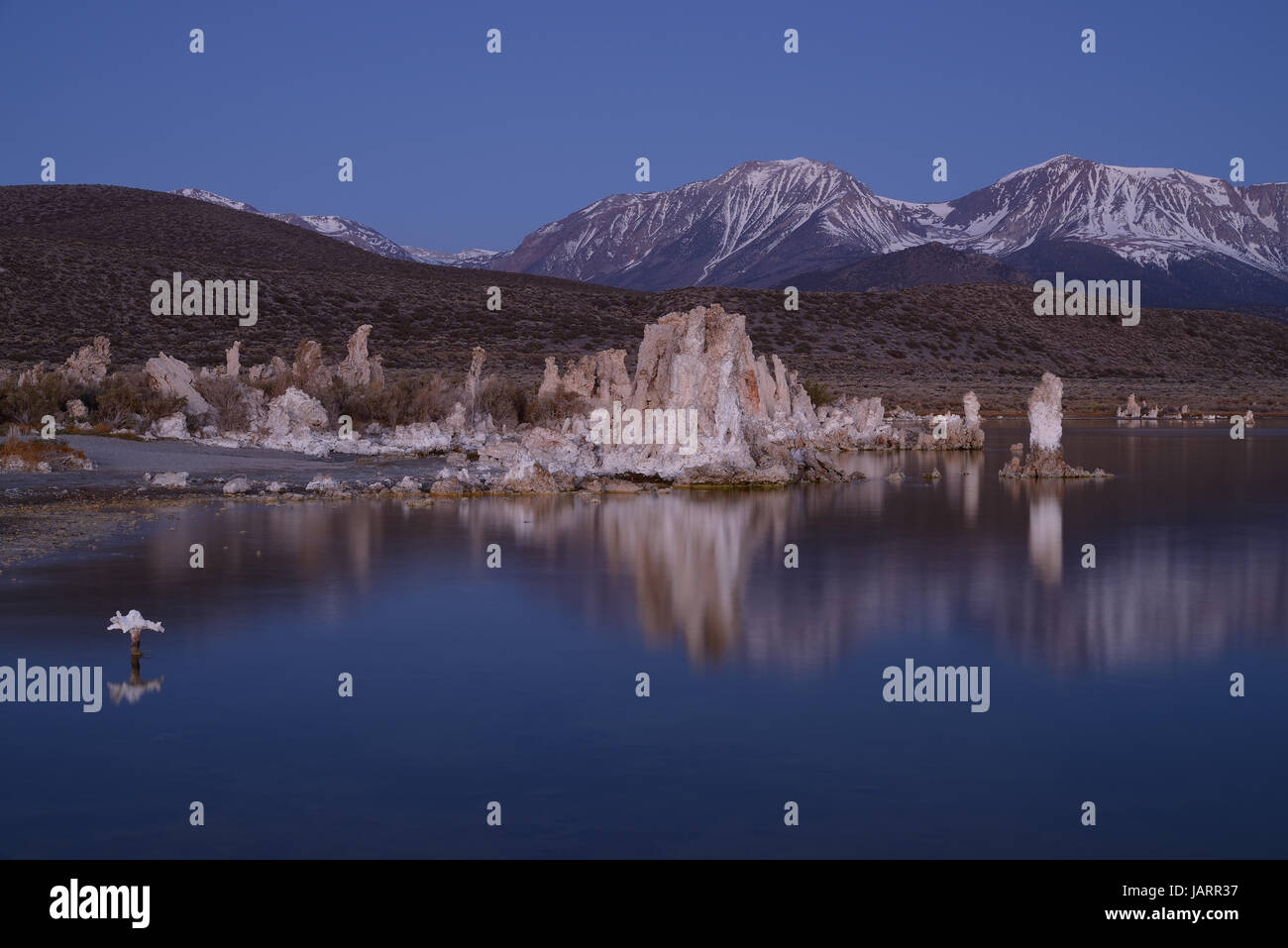 Mono sodium hi-res stock photography and images - Alamy