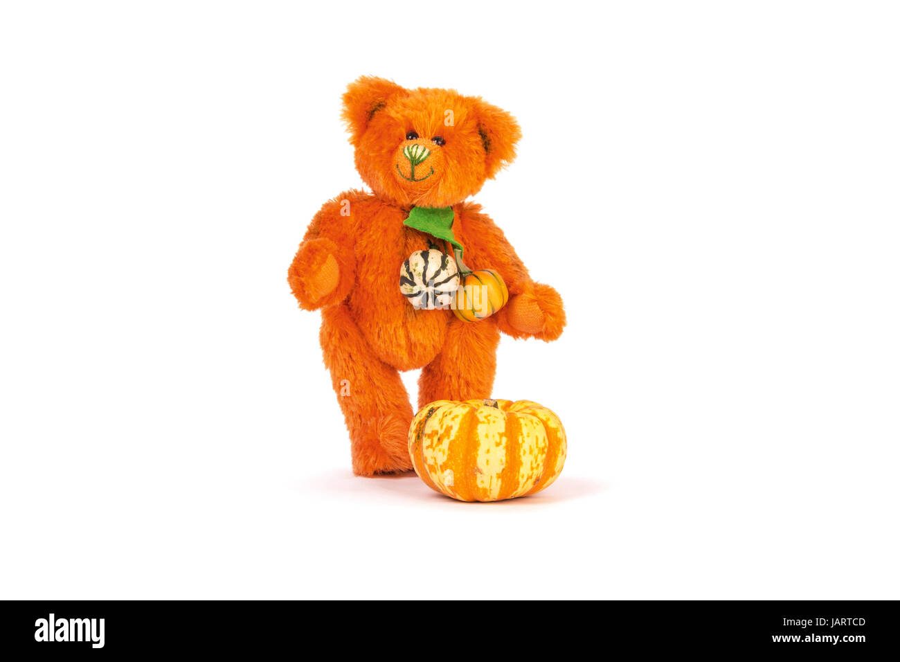martin bear from sonneberg Stock Photo - Alamy