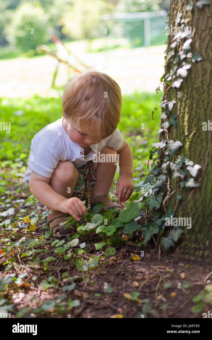 Boy sitting in between trees looking at what he holds in hands Stock ...