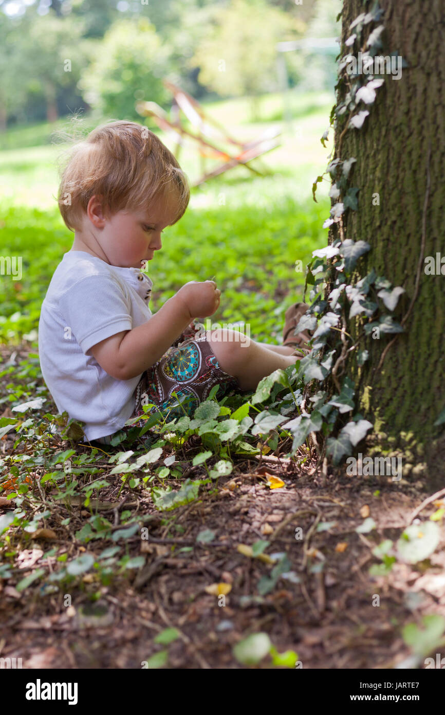 Boy sitting in between trees looking at what he holds in hands Stock ...