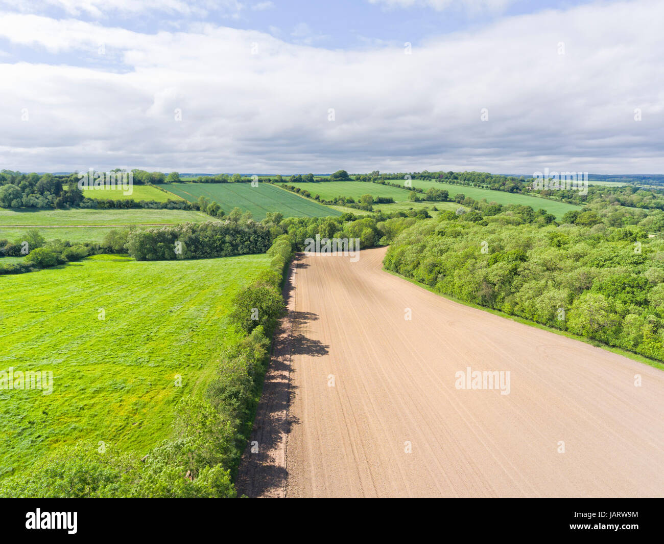 English field shrub earth hi-res stock photography and images - Alamy