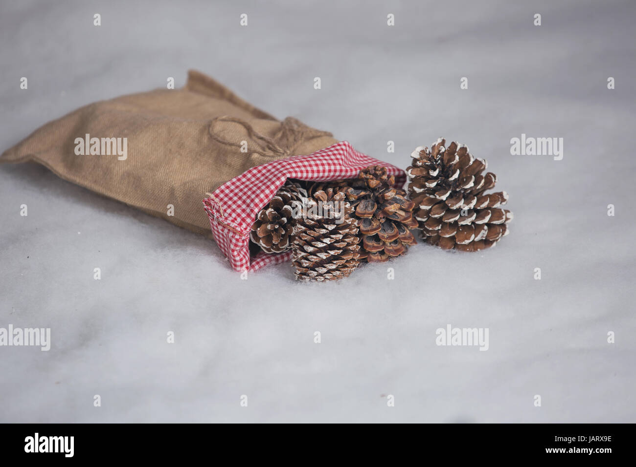 Pine cones from bag Stock Photo - Alamy