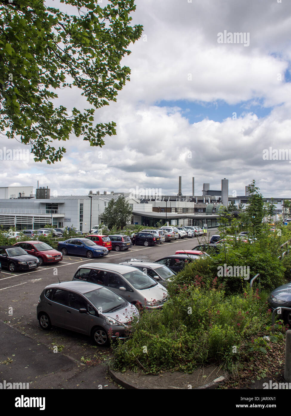 The car park at the Royal Marsden hospital in Sutton, London Stock ...