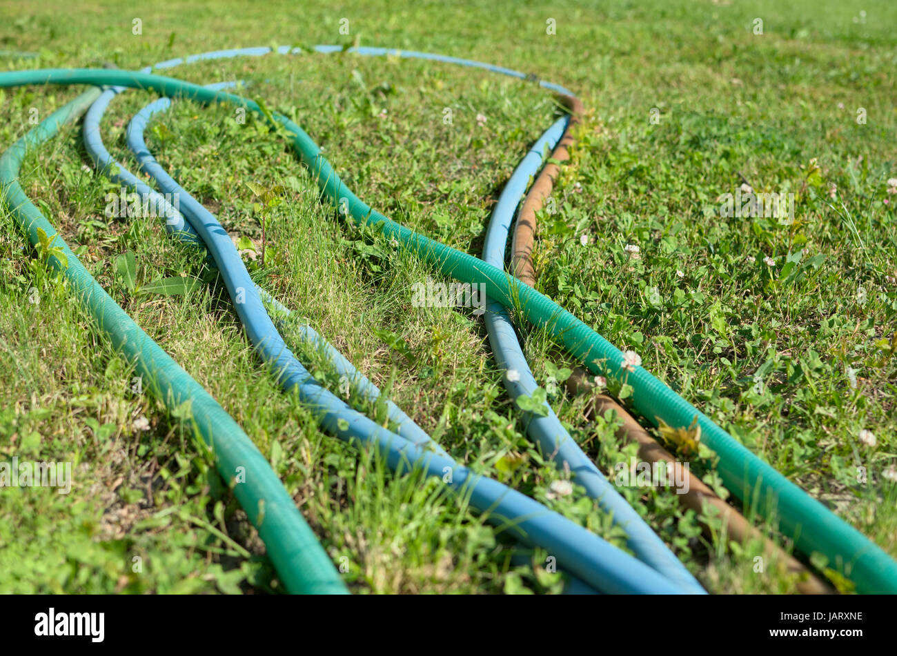 Brown grass hose pipe hi-res stock photography and images - Alamy
