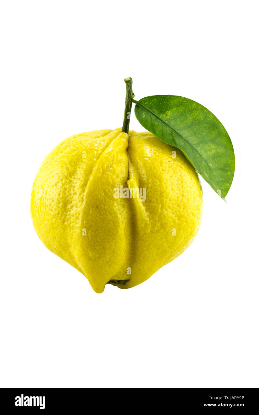 yellow ripe lemon with leaf over the white background (with clipping ...