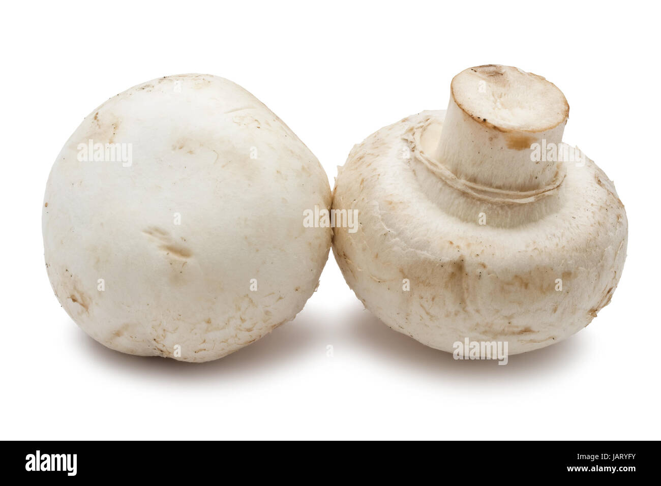Fresh champignon mushrooms isolated on white background Stock Photo - Alamy