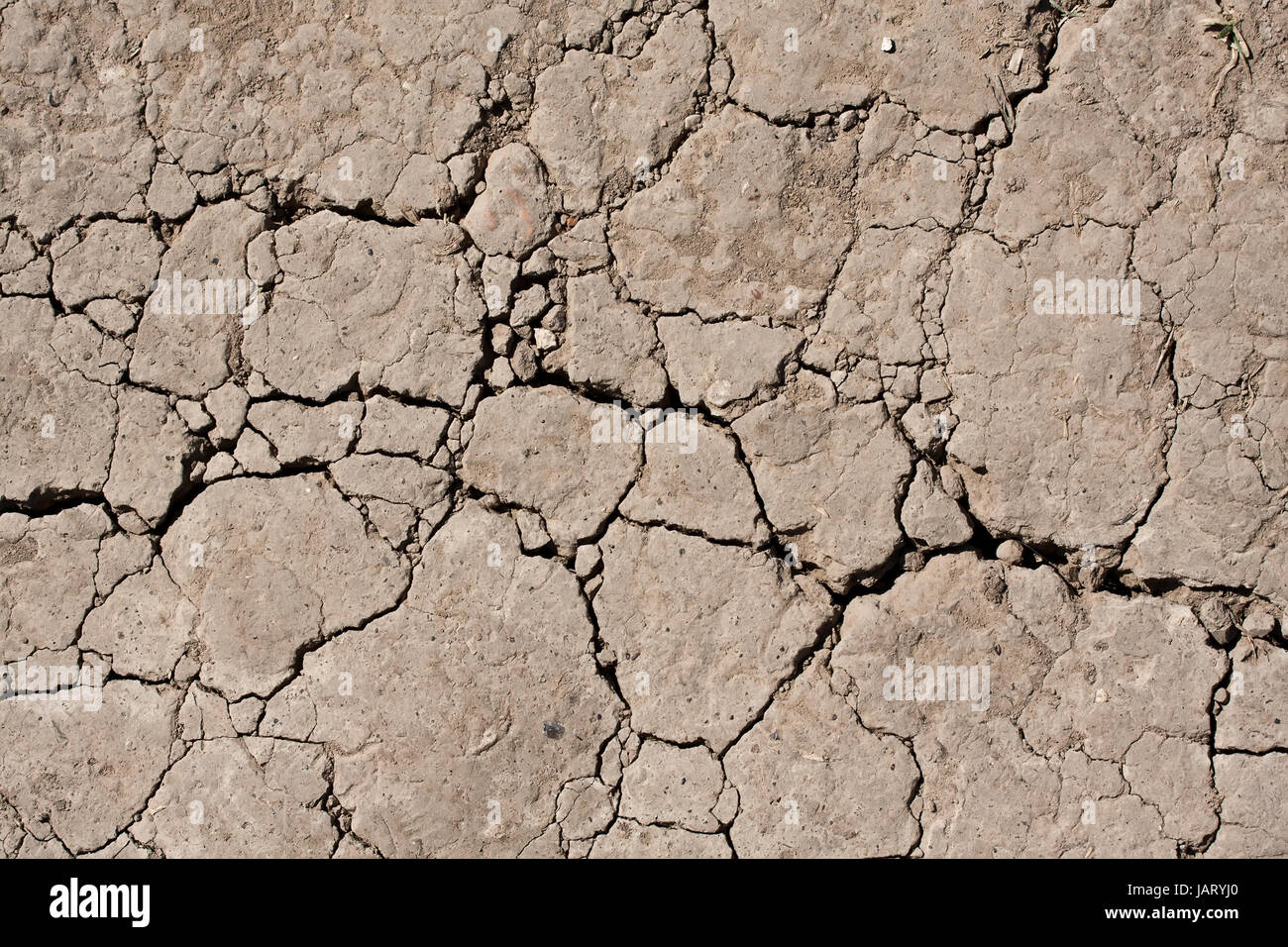 Land with dry cracked ground texture background Stock Photo - Alamy