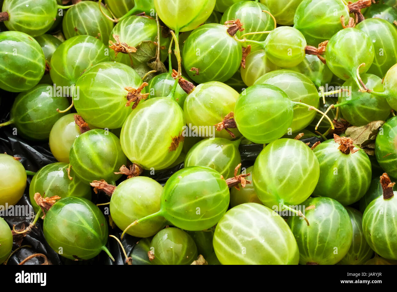 Fresh green gooseberries making full frame background Stock Photo - Alamy