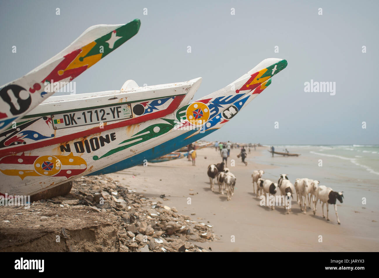west African fishing boats sitting high up on beach rubble overlooking ...