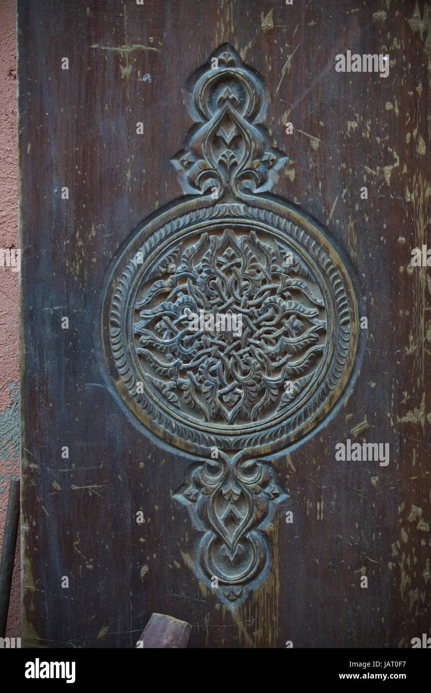 Snake cross section hi-res stock photography and images - Alamy