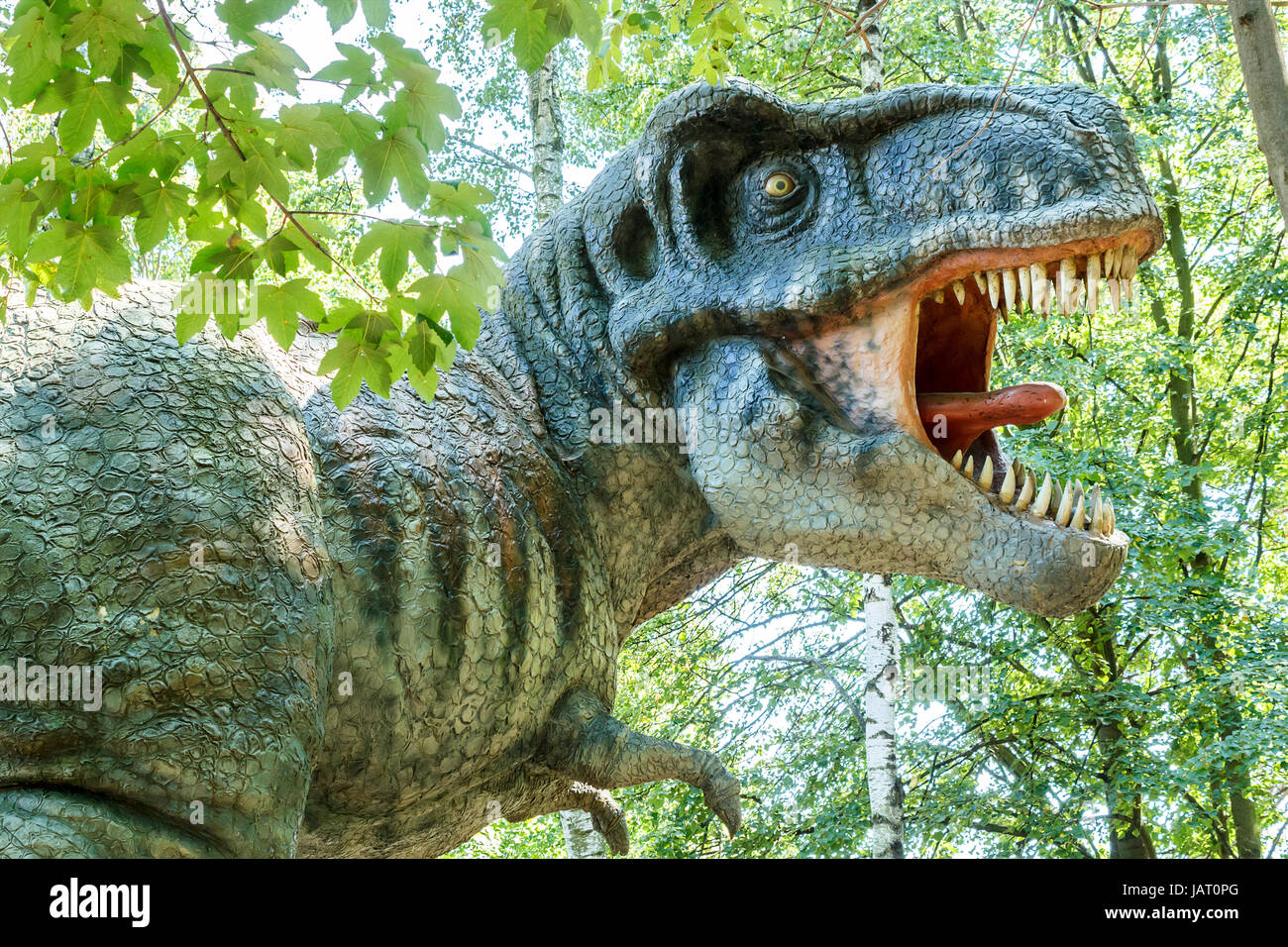 model of big tyranosaurus rex in the jungle Stock Photo - Alamy