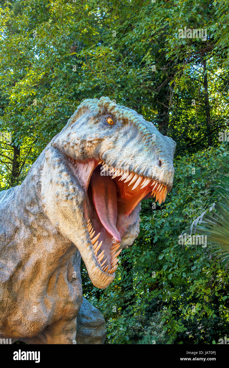 model of big tyranosaurus rex in the jungle Stock Photo - Alamy