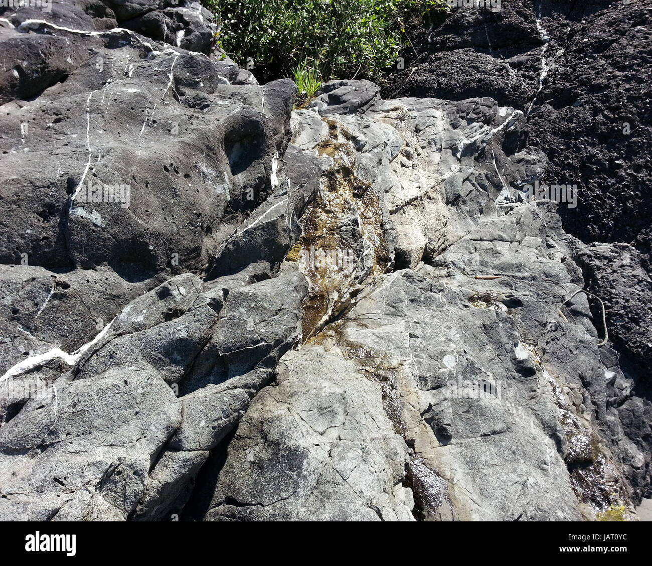 Spring Flowing Out of a Rock Stock Photo - Alamy