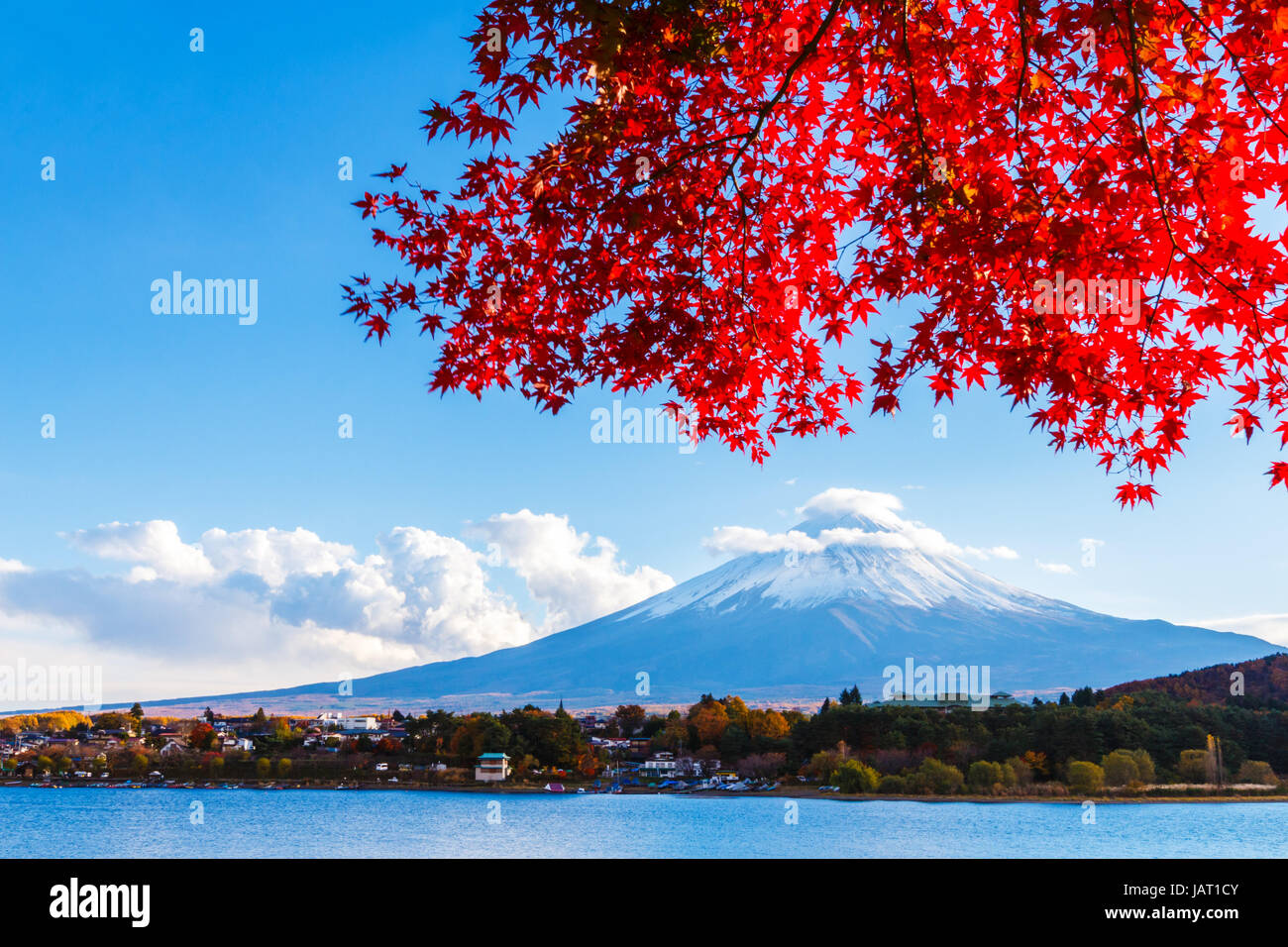Mt. Fuji in autumn Stock Photo - Alamy