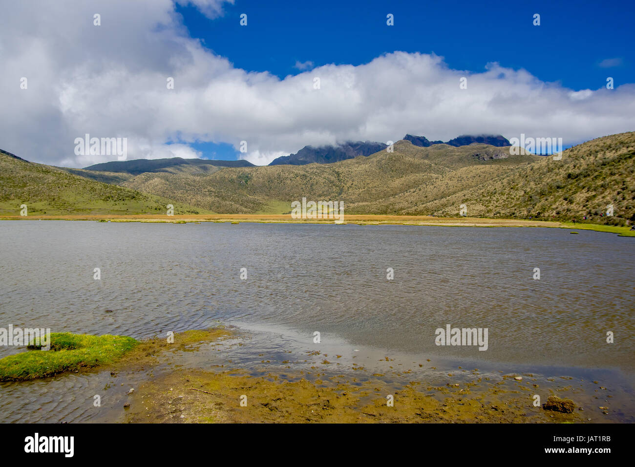 Astonishing Limpiopungo lake, in the National Park Cotopaxi Stock Photo ...