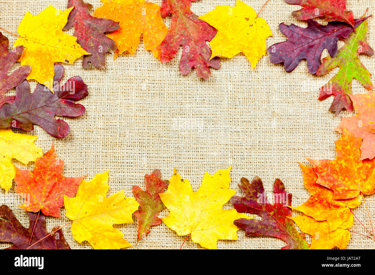 Fall-themed background of burlap and colorful leaves Stock Photo - Alamy