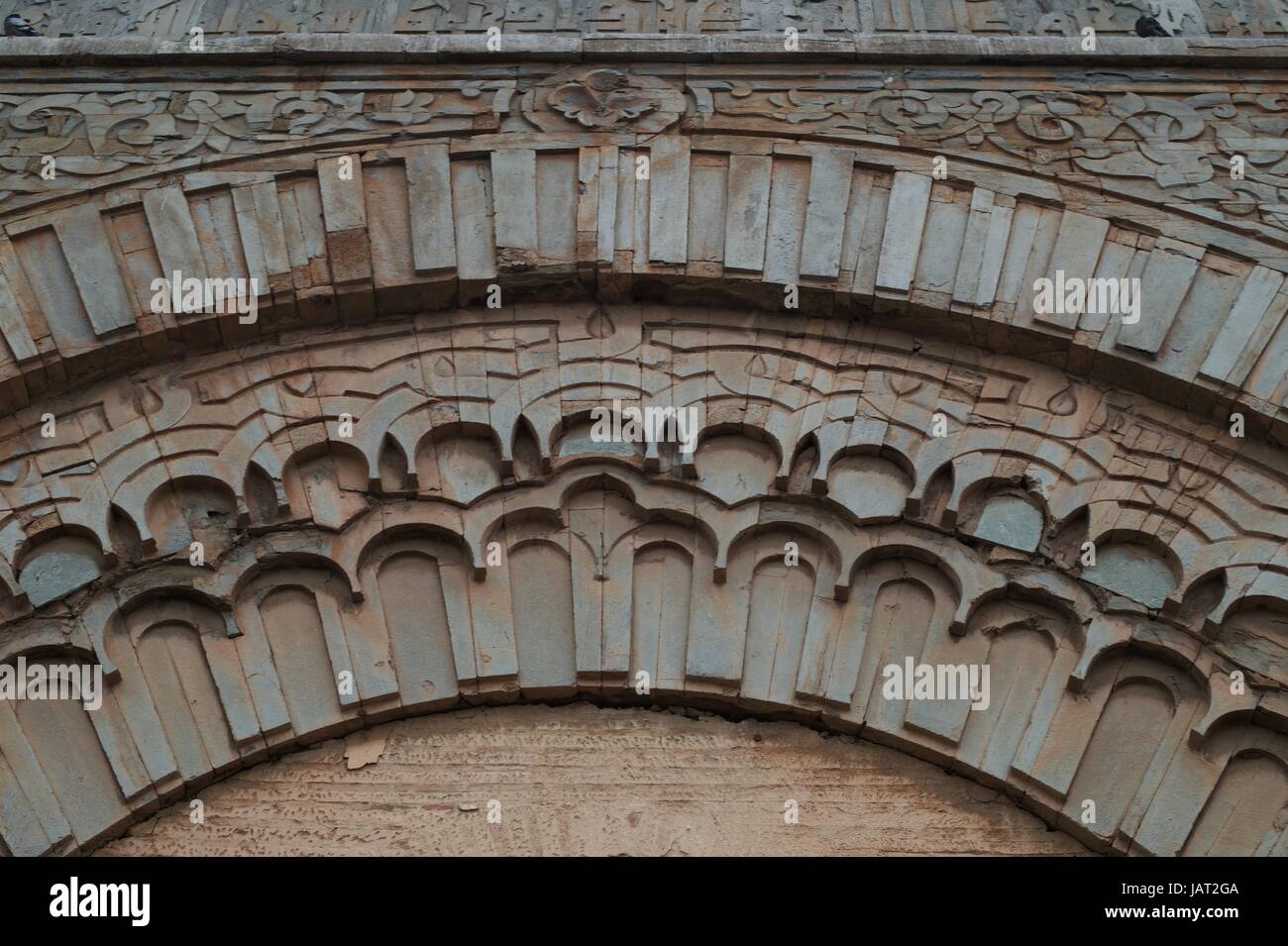 Snake cross section hi-res stock photography and images - Alamy